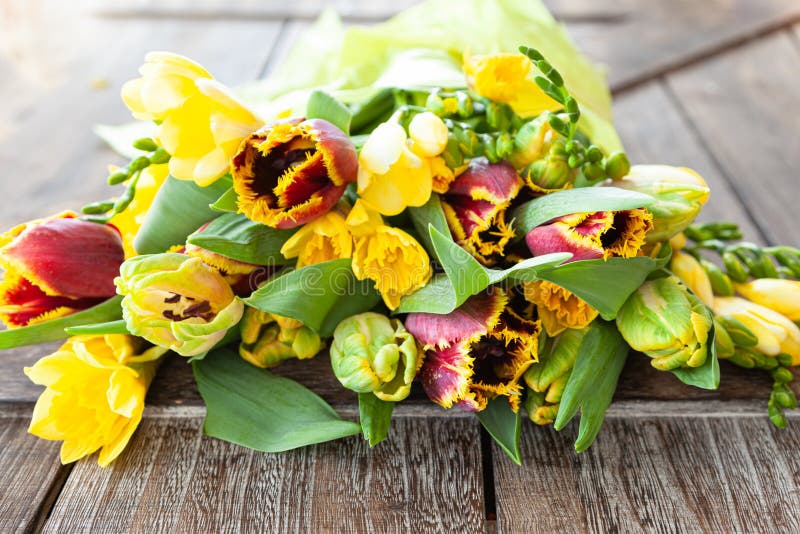 Fresh spring flowers stock photo. Image of tulips, yellow - 175634790