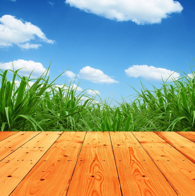 Fresh Spring Green Grass with Blue Sky and Wood Floor Background Stock ...