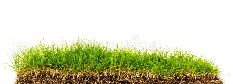 Fresh Spring Green Grass with Soil Stock Image - Image of green ...