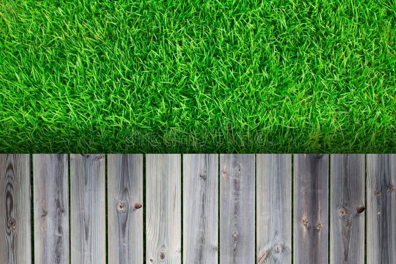 Fresh Spring Green Grass and Wood Floor Stock Photo - Image of ...