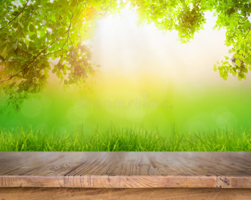 Fresh Spring Green Grass and Wood Floor Stock Image - Image of element ...