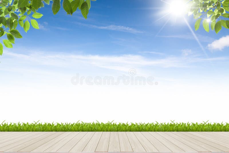 Fresh Spring Green Leaves Bule Sky with Wood Floor Stock Photo - Image ...