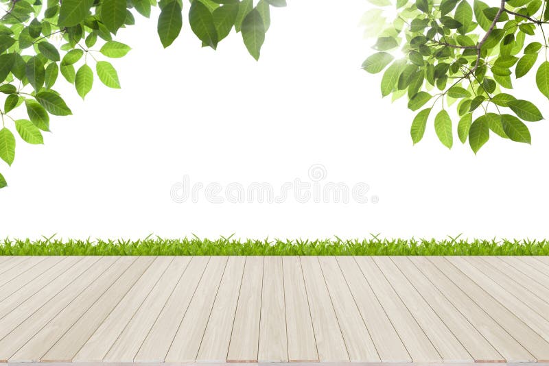 Fresh Spring Green Leaves with Wood Floor Stock Image - Image of blank ...
