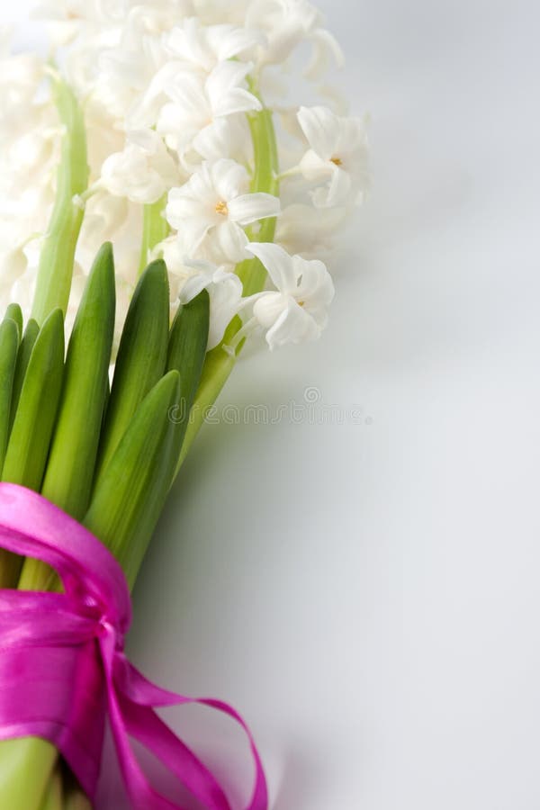 Fresh Spring Hyacinth stock image. Image of floristry - 23831559
