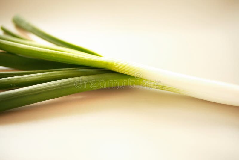 Spring onion stock photo. Image of ingredient, young - 26583362