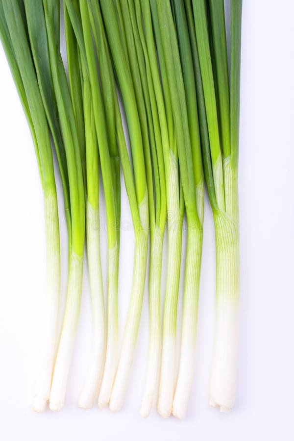 Fresh spring onion stock image. Image of fresh, salad - 8521737
