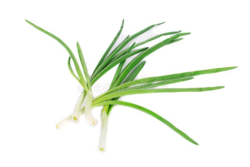 Fresh spring onion. stock image. Image of nutrition, salad - 43936335