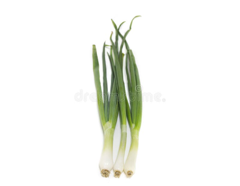 Spring Onion on White Background Stock Image - Image of edible, cuisine ...