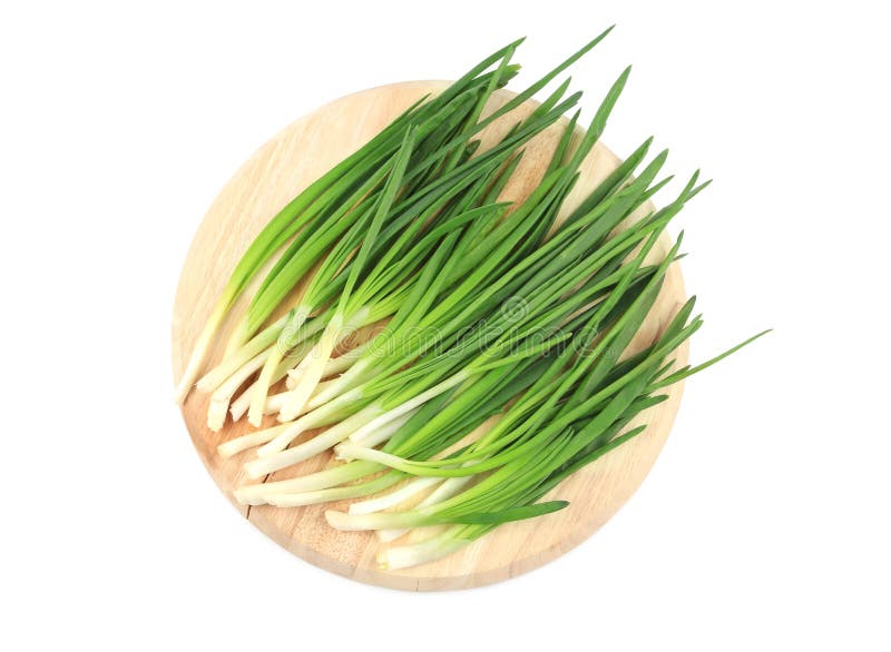 Fresh Spring Onion on Platter. Stock Image - Image of organic, spice ...