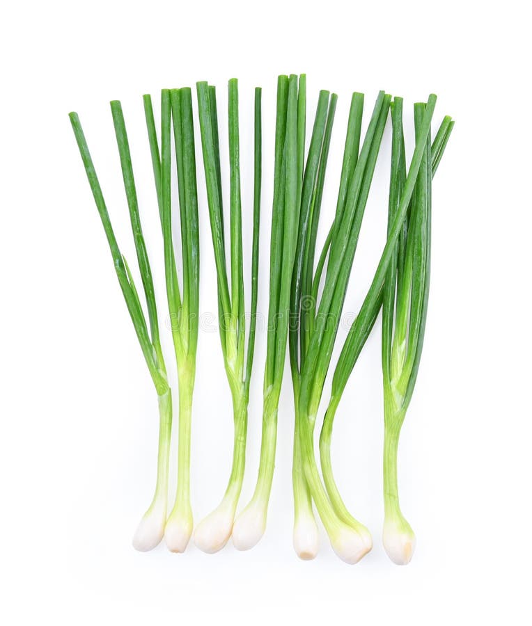 Fresh Spring Onion on White Background Stock Photo - Image of spices ...
