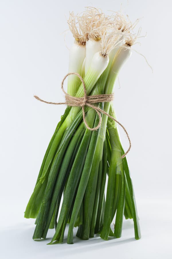 Fresh spring onions stock image. Image of antioxidant - 24803261