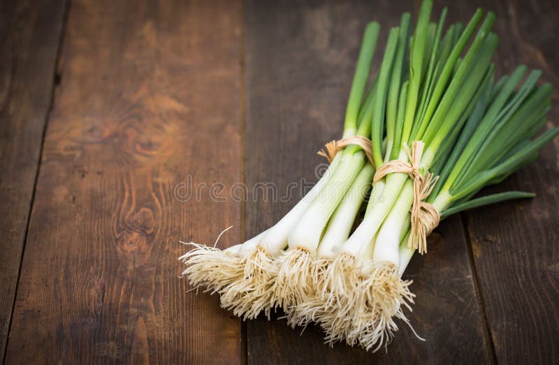 Fresh spring onions stock photo. Image of green, fresh - 115464056