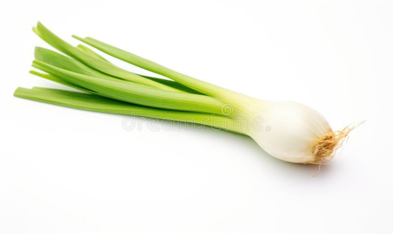 Fresh Spring Onions Isolated on a White Background Stock Photo - Image ...