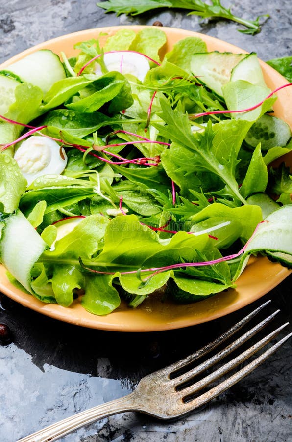 Fresh spring salad stock image. Image of salad, mustard - 146361871