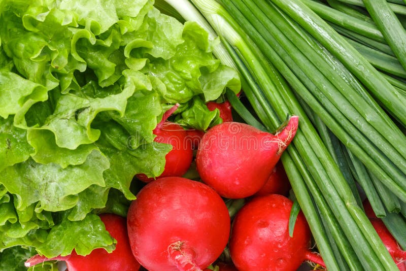 Fresh spring vegetables stock image. Image of leaf, crop - 54906197