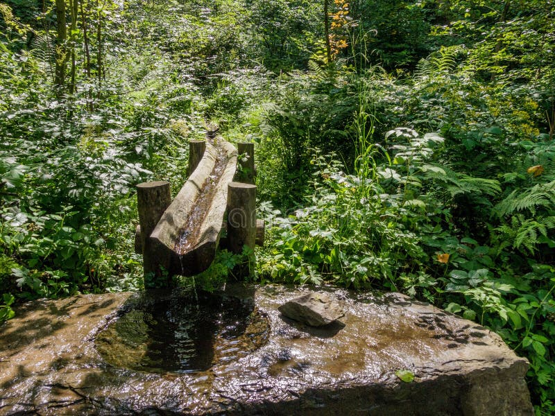 Fresh Spring Water Flows Down a Shaved Tree Trunk into a Stone Puddle ...