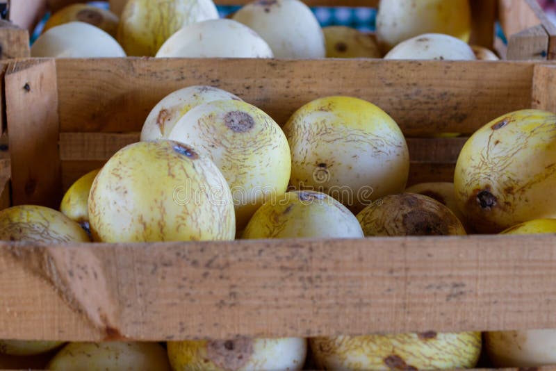 Fresh Sprite Melons stock image. Image of grocery, juicy - 96775055