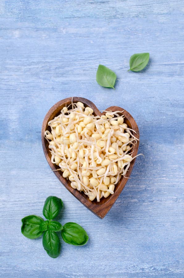 Fresh Sprouts of Bean Seeds Stock Photo - Image of mung, natural: 149044244