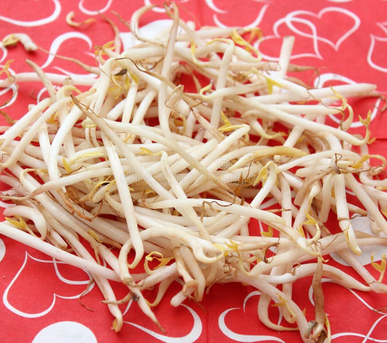 Fresh sprouts stock image. Image of asian, chinese, white - 94098721