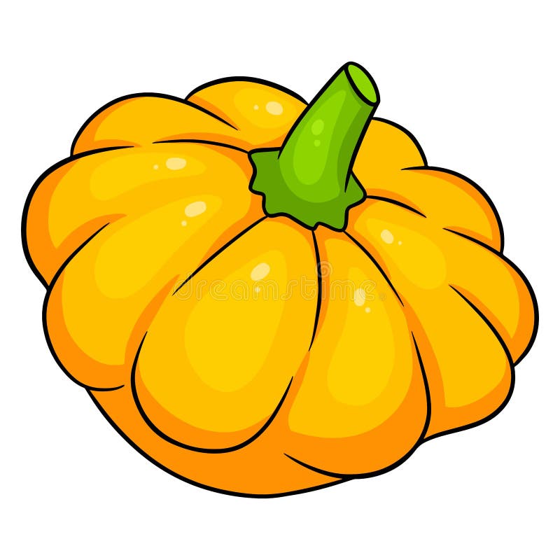 Fresh Squash. Bright Vegetable. Ingredient for the Kitchen Stock ...