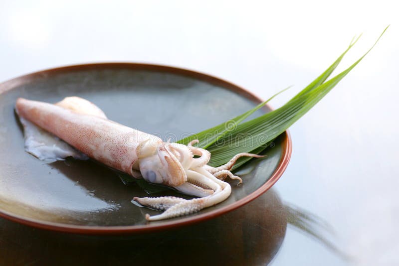 Fresh Squid stock image. Image of tentacles, seafood, catch - 5510203