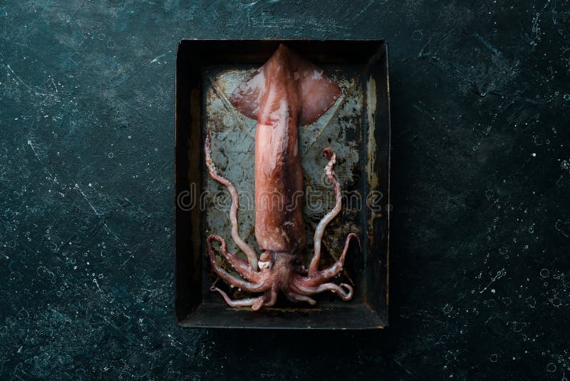 Fresh Squid in a Box with Ice on a Dark Stone Background. Stock Image ...