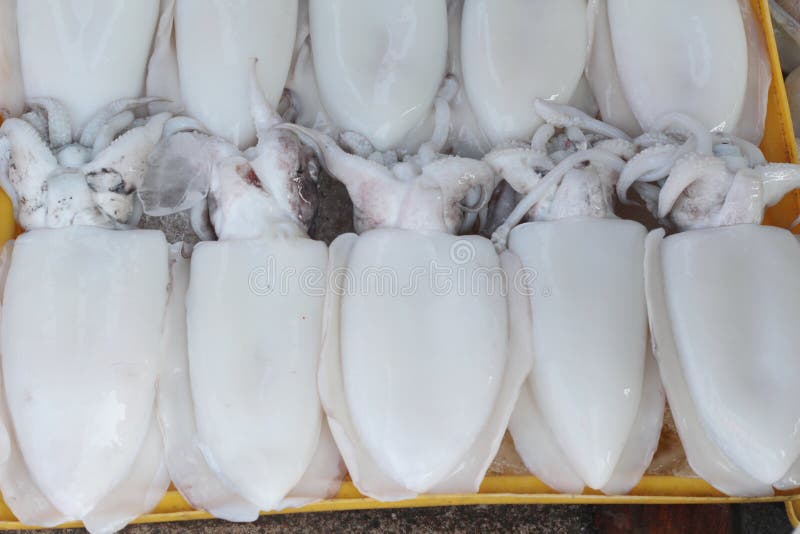 Fresh Squid for Cooking in the Market. Stock Photo - Image of fish ...