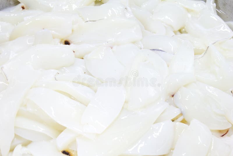 Fresh squid cut stock photo. Image of squid, mollusk - 19783060