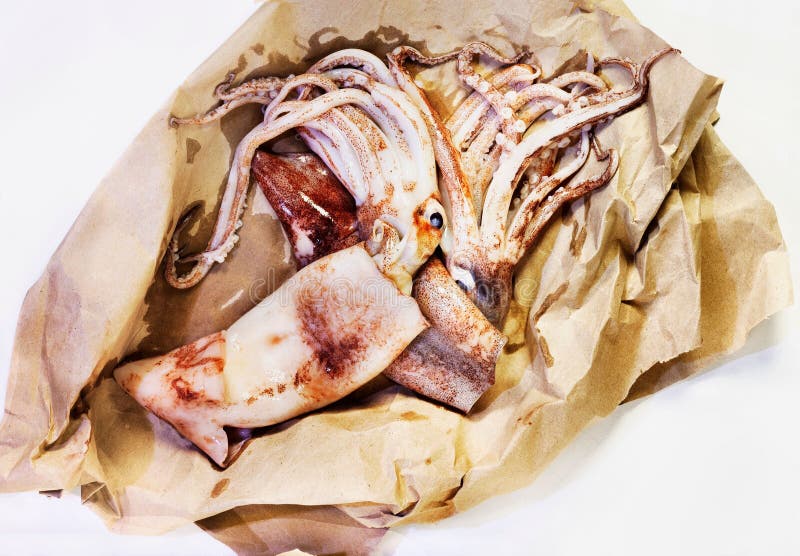Fresh Squid Fish , Cuttlefish Stock Photo - Image of tentacle, tasty ...