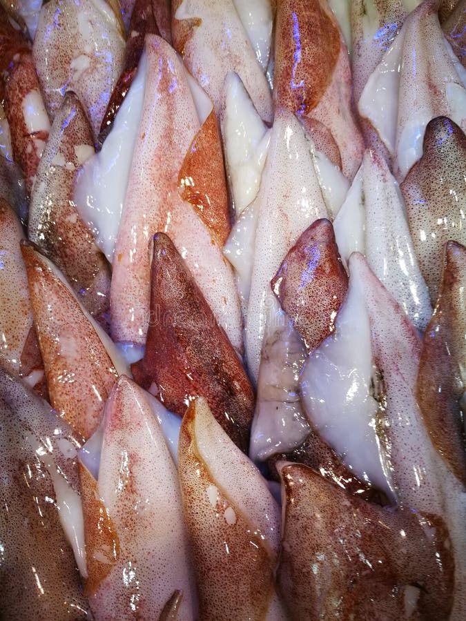 Fresh squid in fish market stock image. Image of display - 79966587