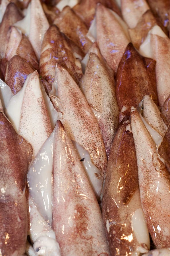 Fresh squid in fish market stock image. Image of display - 79966587