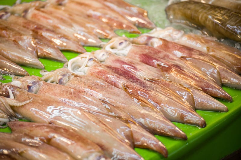 Fresh Squid on fish stall stock image. Image of culture - 331311361
