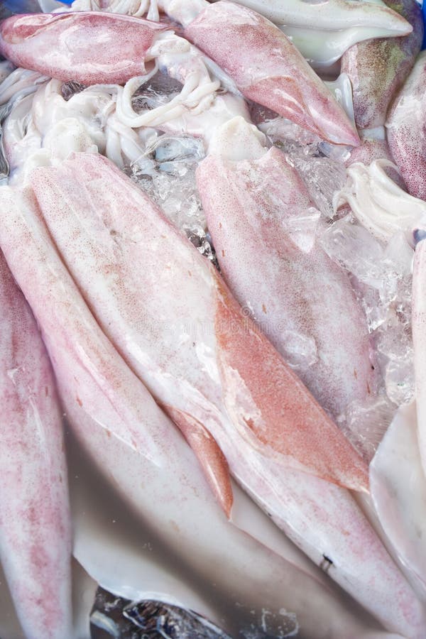 Fresh Squid in Local Market,Thailand Stock Photo - Image of living ...
