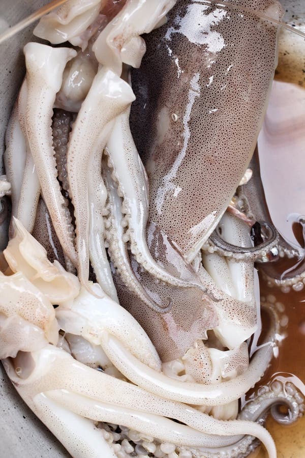 Fresh squid stock image. Image of cooking, brown, market - 36455427