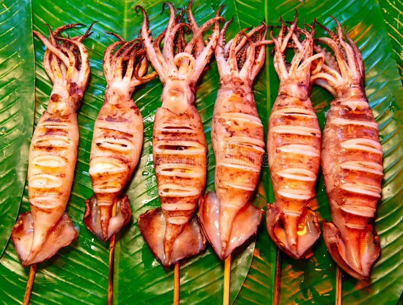 Fresh Squid on a Market Stall Stock Image - Image of dinner, fishing ...