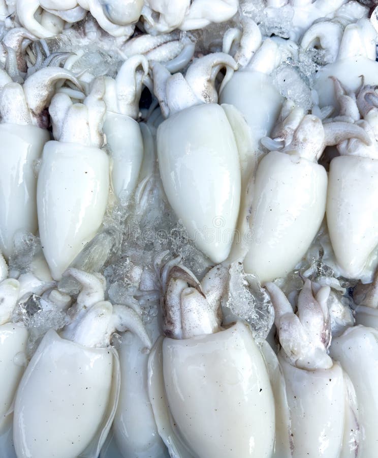 Fresh Squid on a Market Stall Stock Photo - Image of animal, meal: 320993472