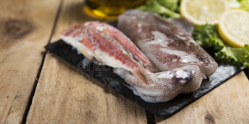 Fresh Squid and Red Mullet Fish Stock Image - Image of feeler, animal ...