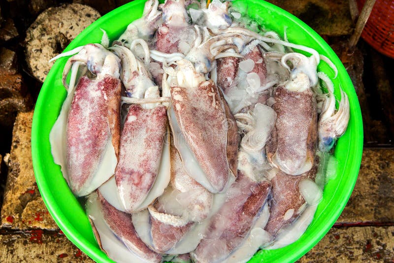 Fresh Squid and Seafood in Market Stock Photo - Image of cook ...
