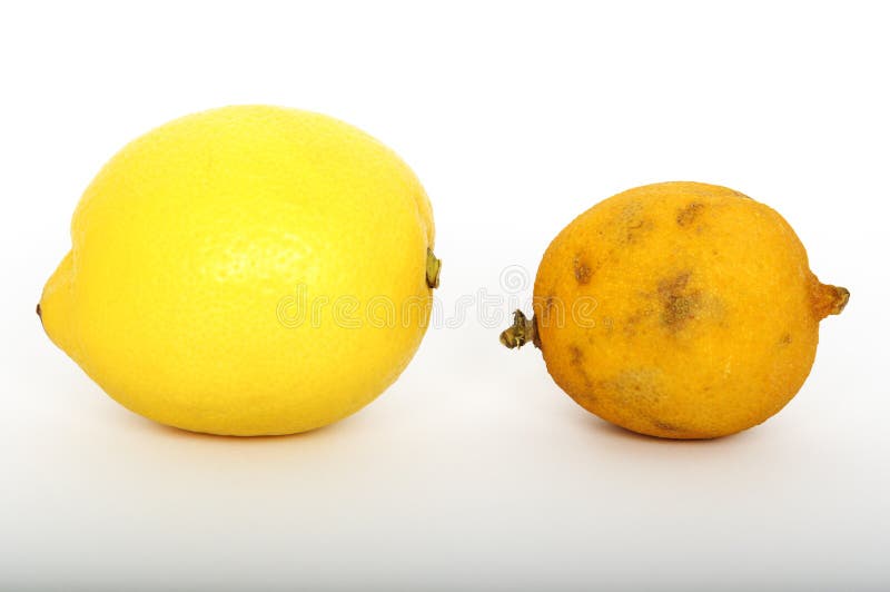 Fresh and stale lemon stock image. Image of freshness - 30679719