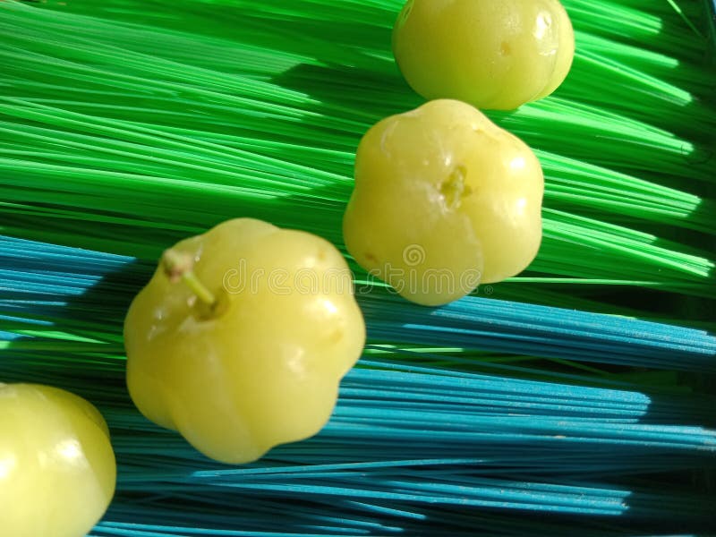 Four-sided star fruit stock photo. Image of fruit, star - 377702924