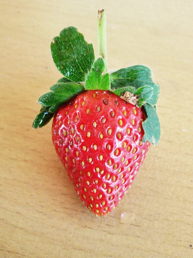 Fresh stawberry stock image. Image of fresh, fruit, benefit - 48938533