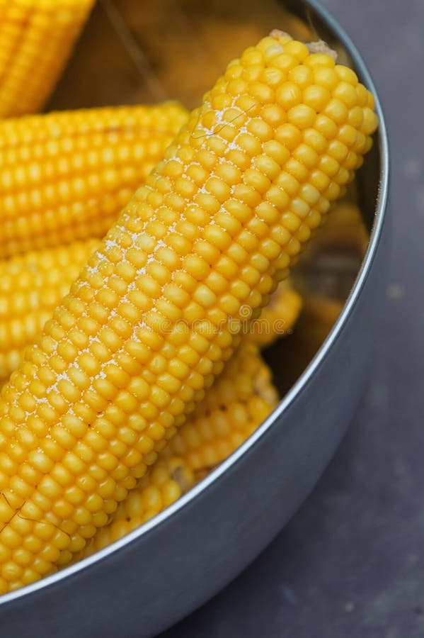 Steamed corn on a cob stock image. Image of manila, asia - 39795289