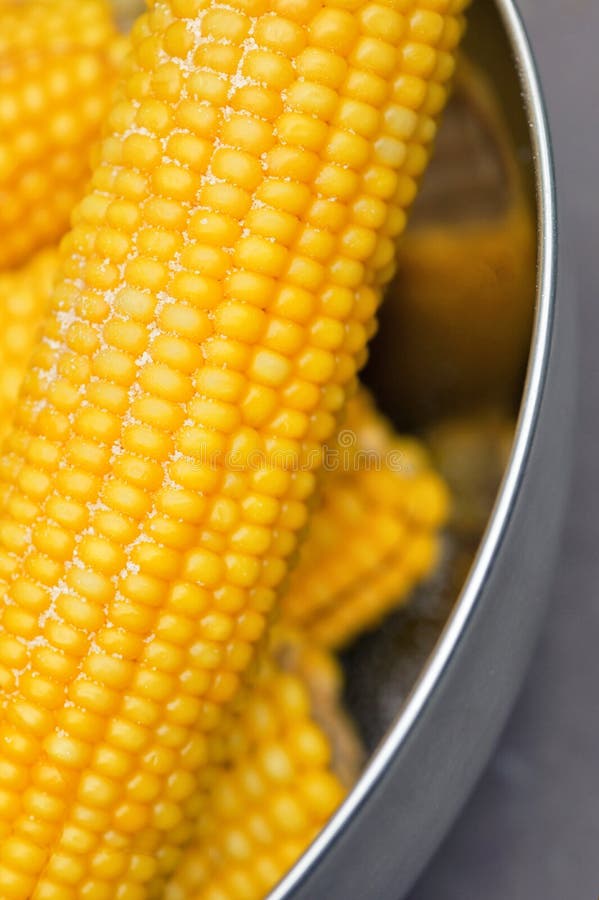 Fresh steamed corn stock image. Image of cooking, baked - 157556857