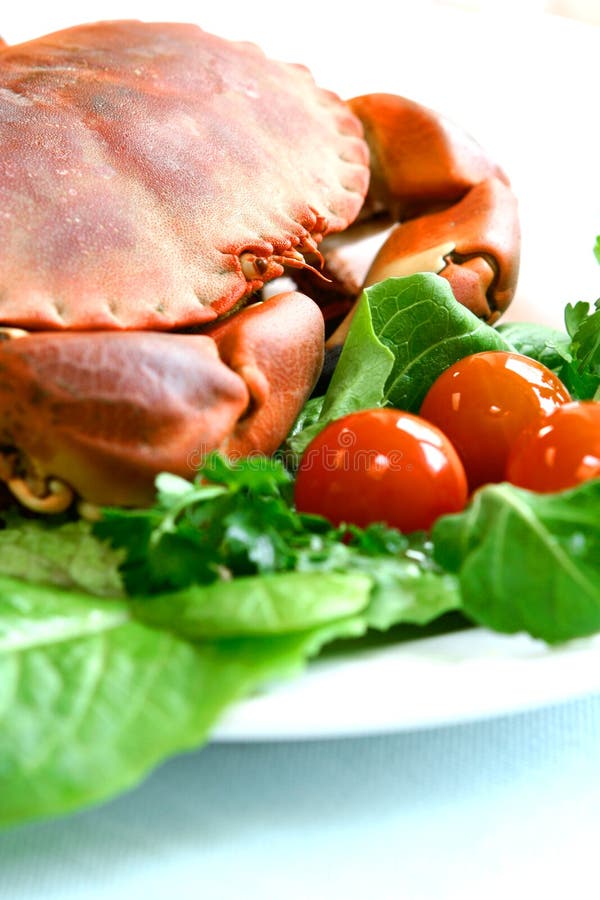 Fresh steamed crab stock photo. Image of hard, delicious - 2308534