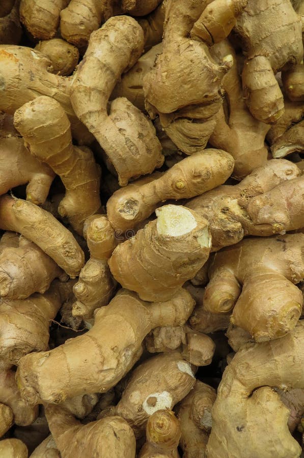 Fresh, Sticking Roots of Ginger in a Box Stock Image - Image of cuisine ...