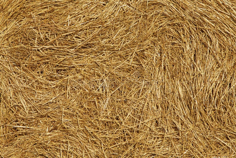 Fresh Straw closeup stock image. Image of chaos, agriculture - 33624849