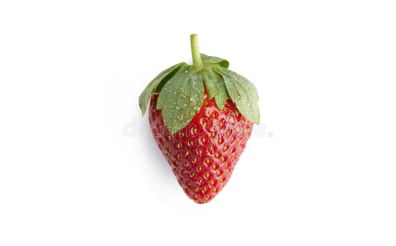 Fresh Red Single Strawberries Isolated on White. Stock Photo - Image of ...