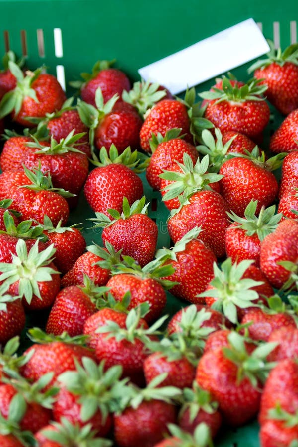 Fresh strawberries stock image. Image of fruit, healthy - 23177913