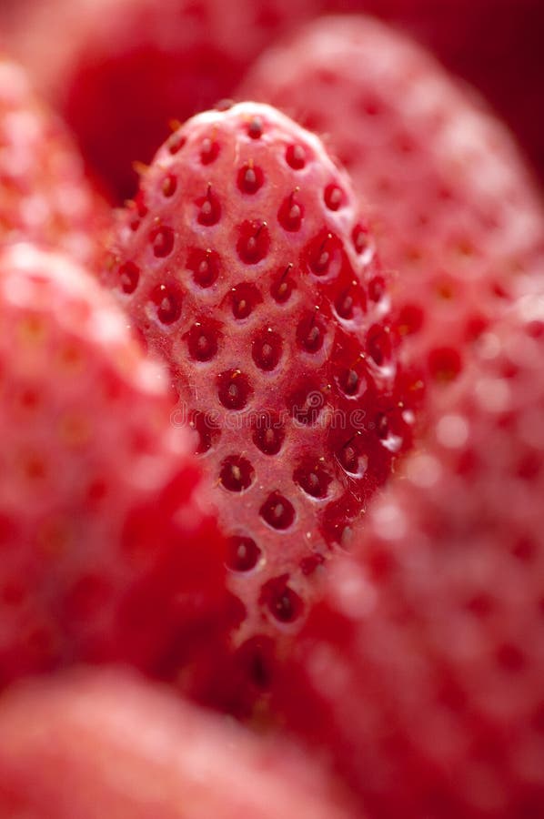 Fresh Strawberries stock image. Image of pieces, fruit - 23795999