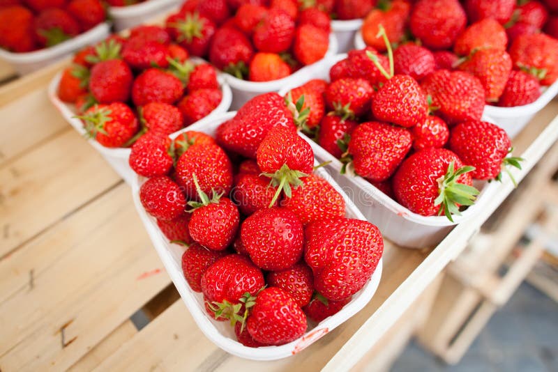Fresh strawberries stock image. Image of agriculture - 24610467